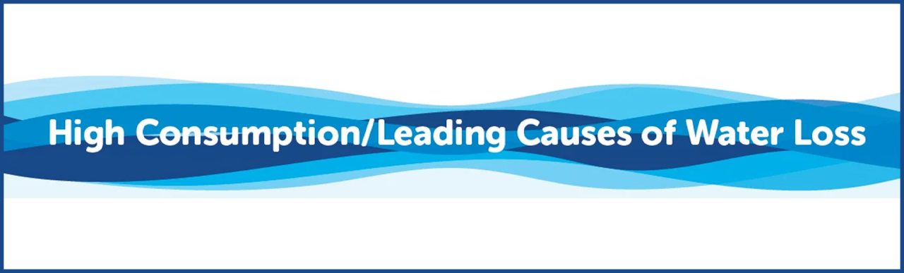 High Consumption and Leading Causes of Water Loss |High Consumption and ...
